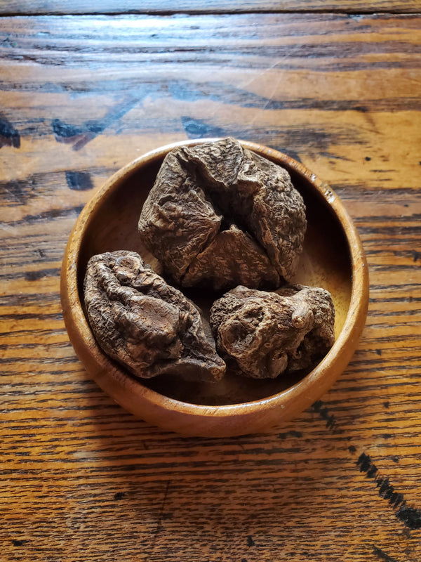 High John the Conqueror Root - Sold Individually – Curio, Craft & Conjure